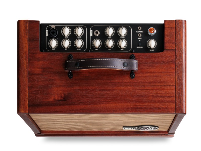 Taylor Circa 74 Acoustic Vocal Combo con Stand