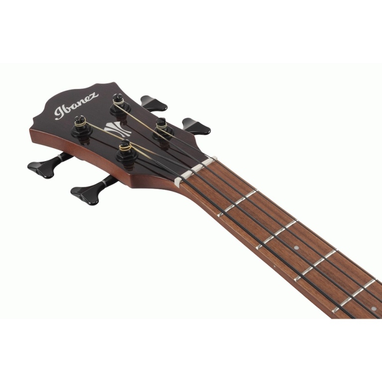 Ibanez Basso Acustico Elettrificato Mahogany Sunburst